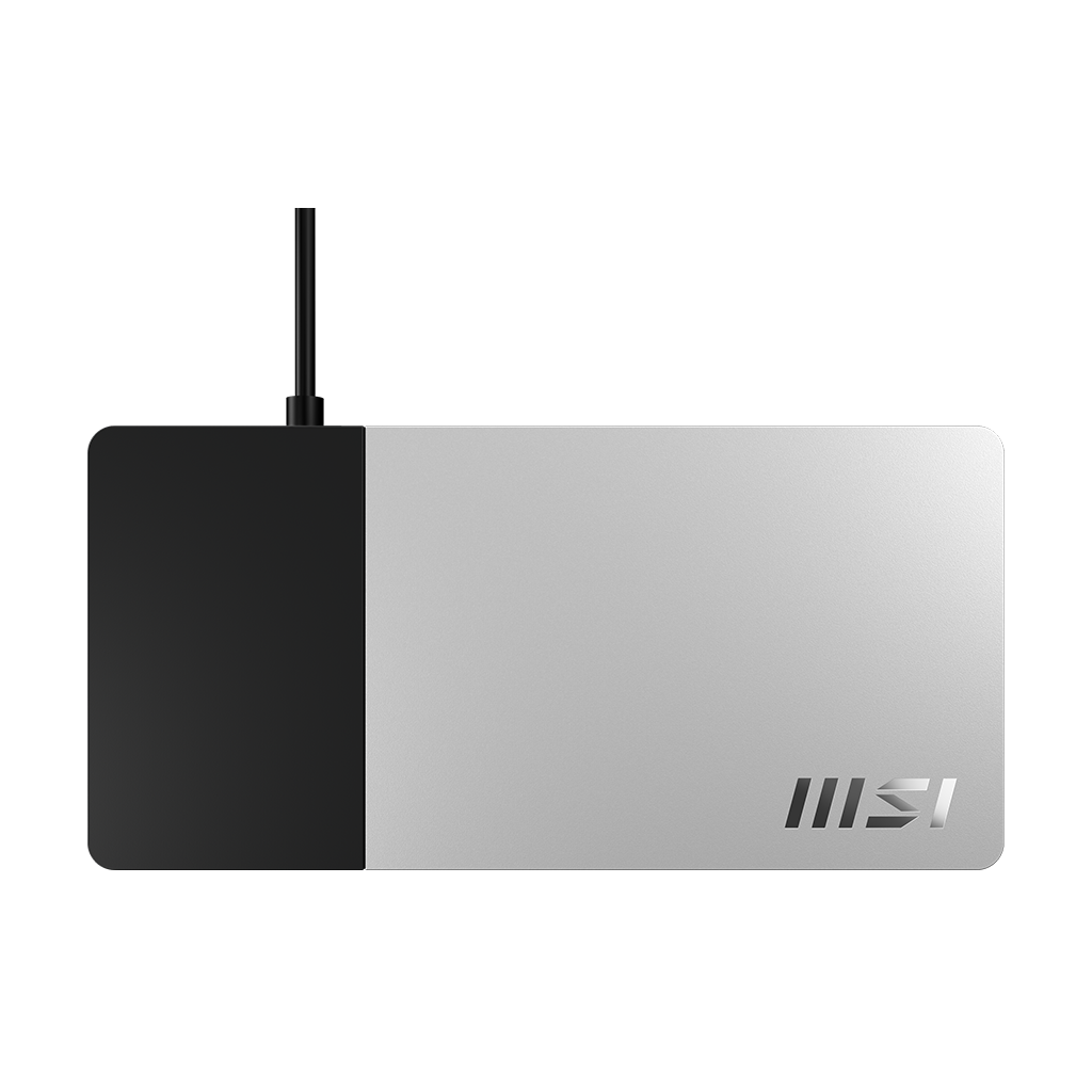 USB C Docking Station Gen 2 - MSI-US Official Store